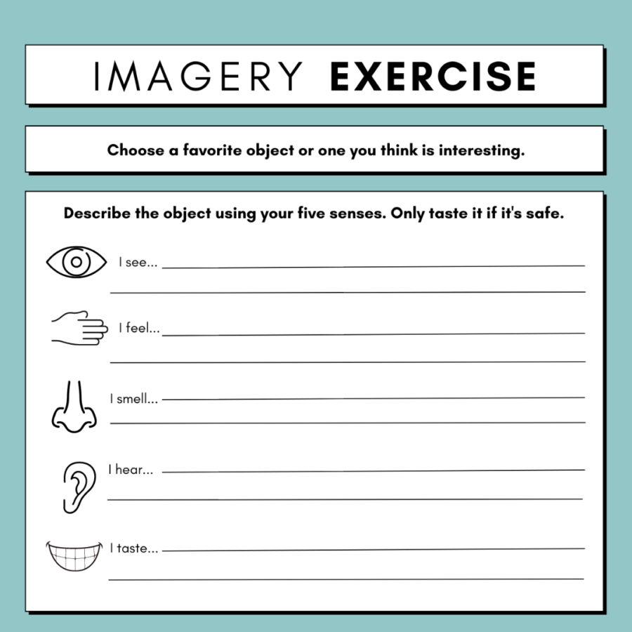 Teaching Imagery To Young Writers Curiosity Encouraged teaching-imagery-to-young-writers-curiosity-encouraged
